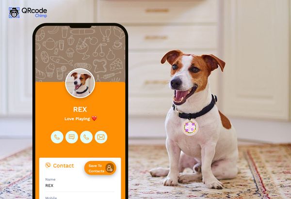 QR Code Dog Tags: The Ultimate Guide to Keeping Your Pet Safe